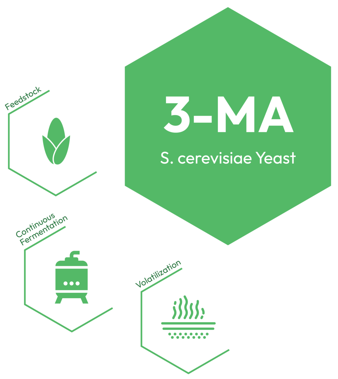 Home - VIA Bio Fuels