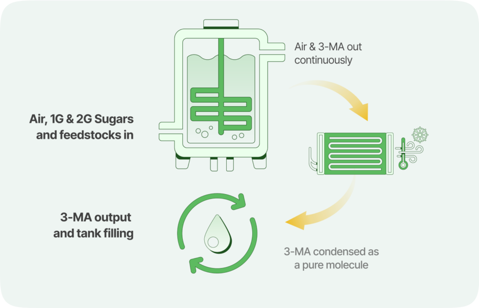 Home - VIA Bio Fuels